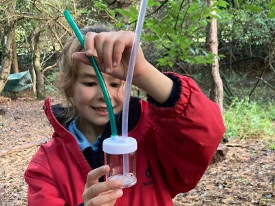 Form 5 Invertebrate Hunt | News | Craigclowan Preparatory School