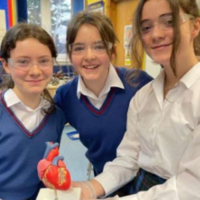 Form 7 Dissection Of The Heart | News | Craigclowan Preparatory School